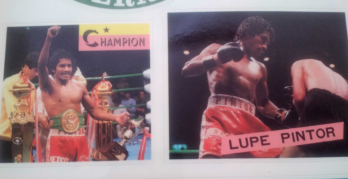 My rookie cards of brand new boxing Hall of Famer Lupe Pintor ...