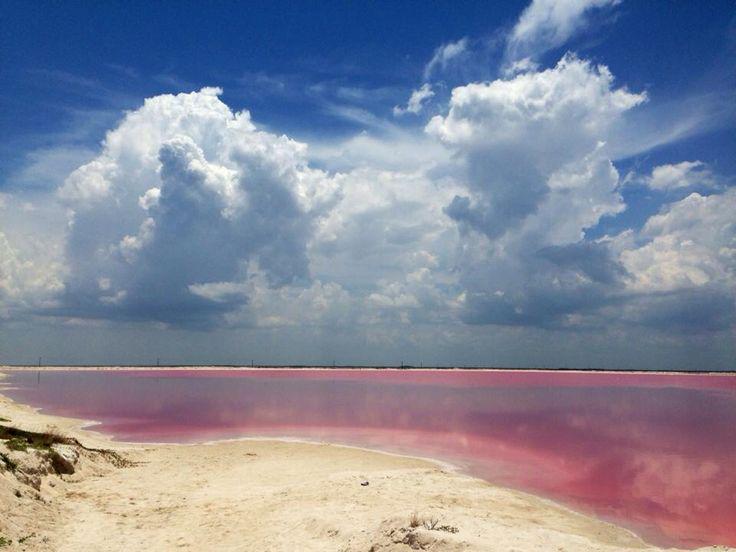 Yucatán: #EstiloDFNews ¡Descubre esta increíble playa rosa en Yucatán!>...