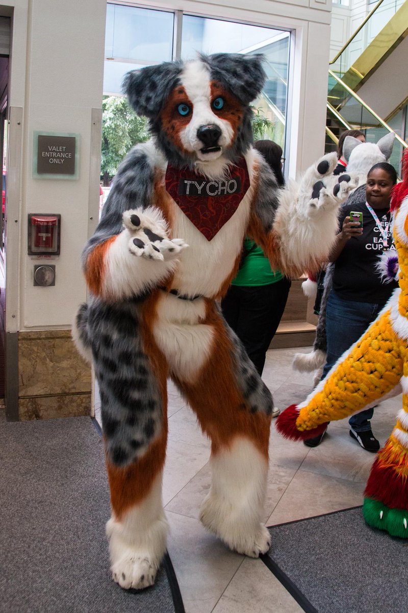 Tycho Aussie on Twitter: "@kijani_lion In case you are wondering, this is what I did for my ...