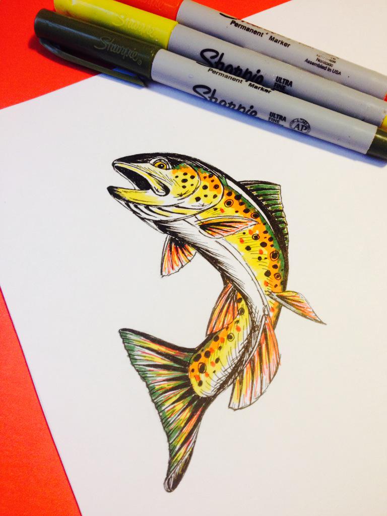 Fly Fishing Pencil Drawings