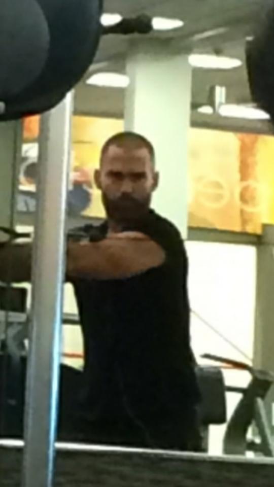 Seann William Scott Bodybuilding