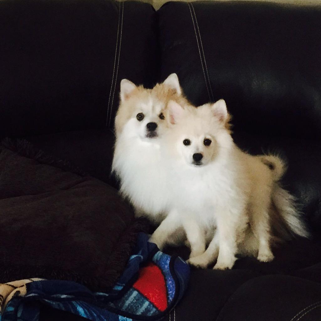 Jennette Renee McGee (@JennetteMcGee) | Twitter