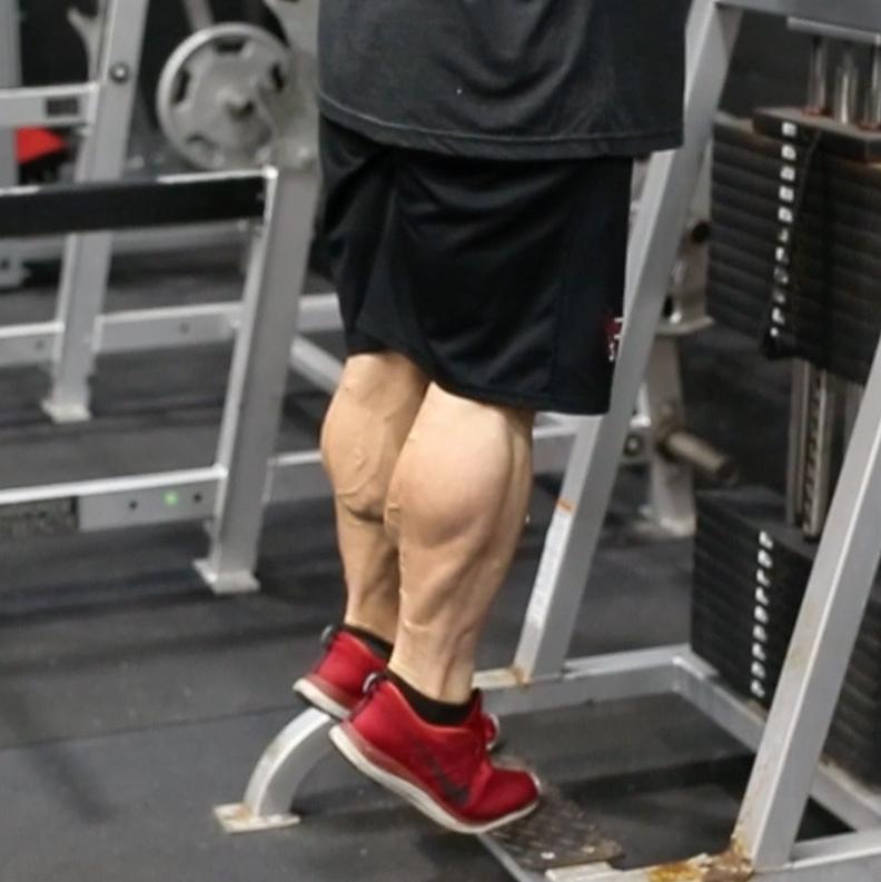 Flex Lewis Calves