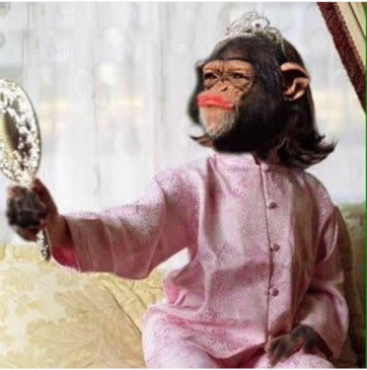 Cobertizo Puro huella foto de mona maquillada Inconsciente Resaltar carrera