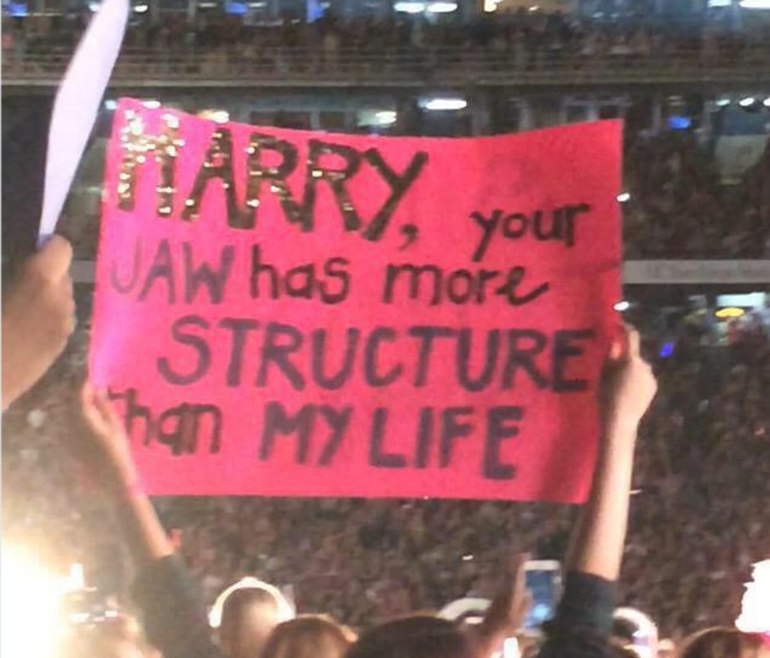 One Direction Fan Signs