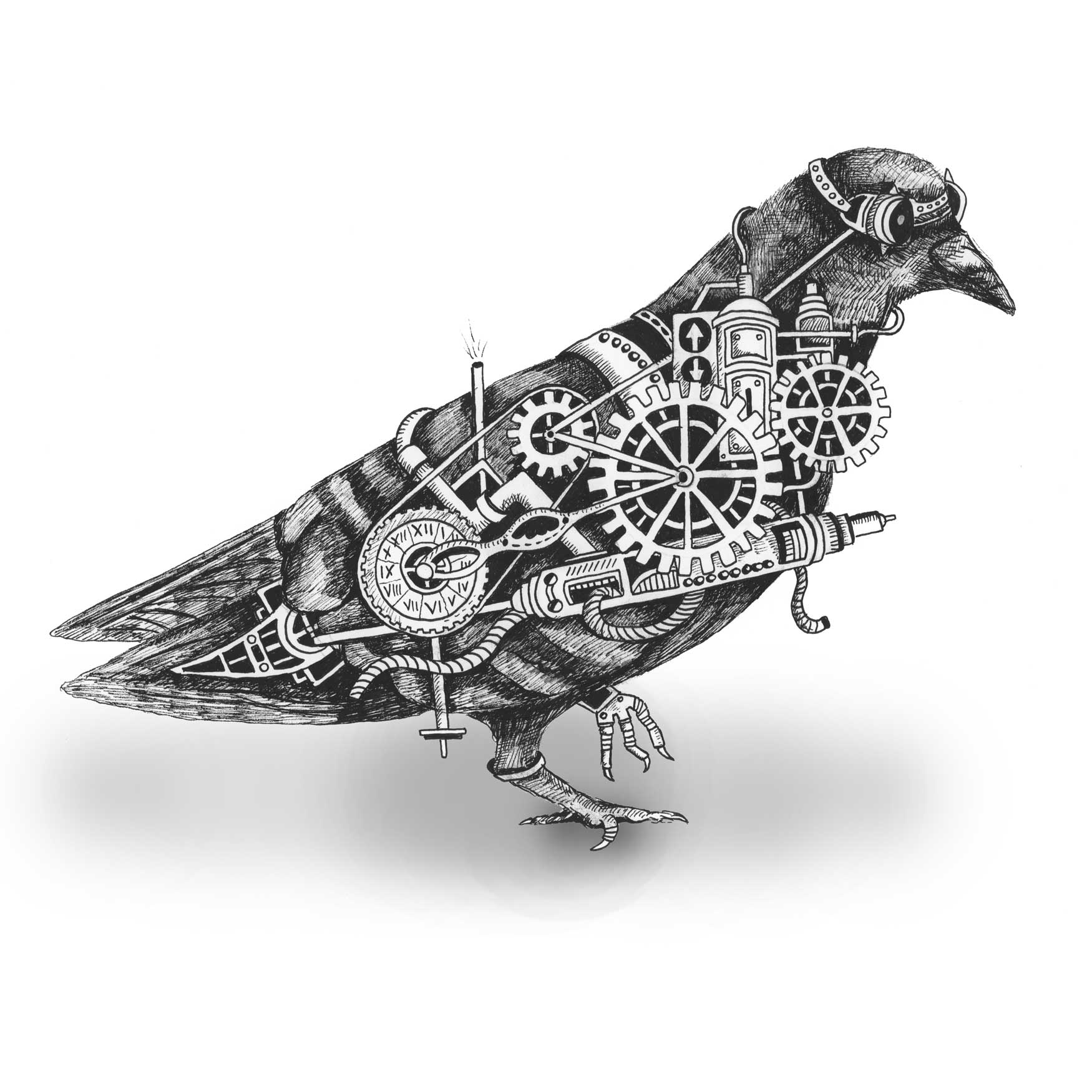 Steampunk Bird Sketches