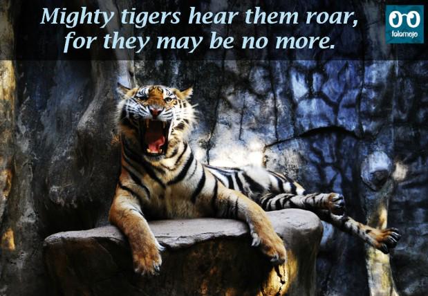 Save The Tigers Slogan