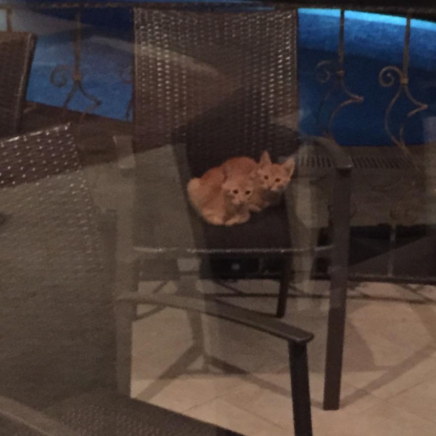 Bbbbbb (@BillyBbbbbbbb) | Twitter