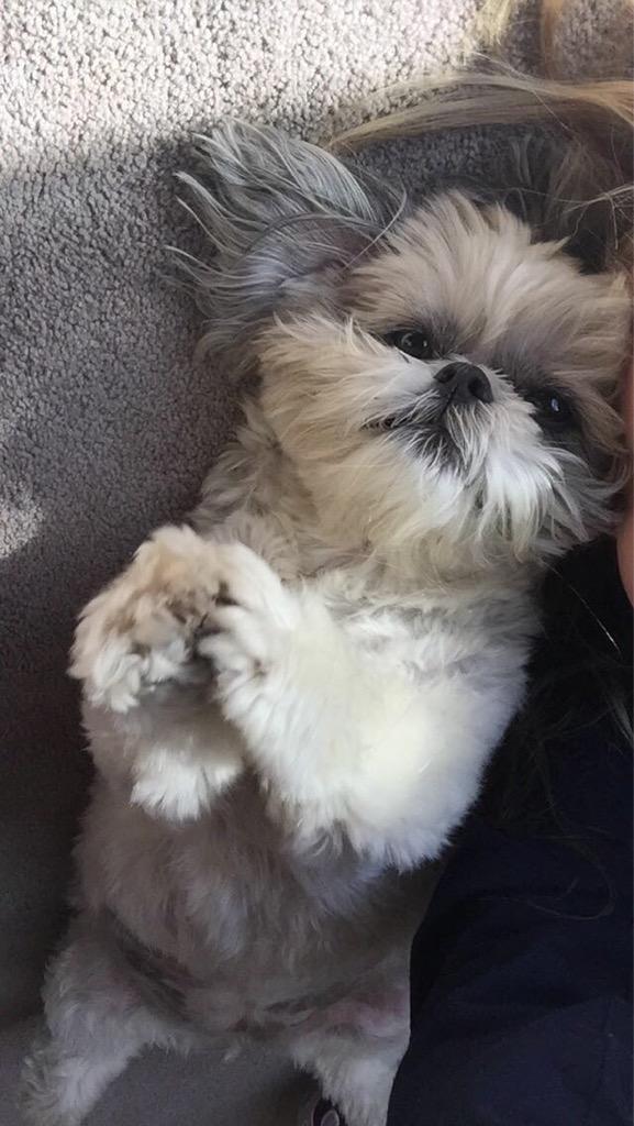 Devan Miller (@miller_devan01) | Twitter