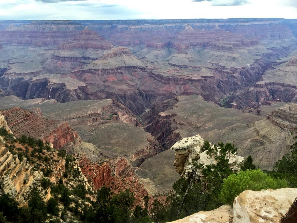 Media Tweets by Tanja Eisenschmid (@TEisenschmid) | Twitter