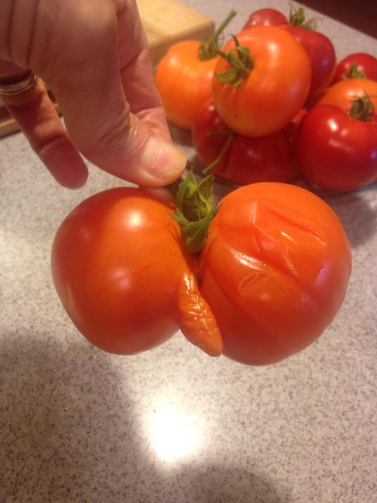 The Vegan Teacher (@theveganteacher) / Posts / X