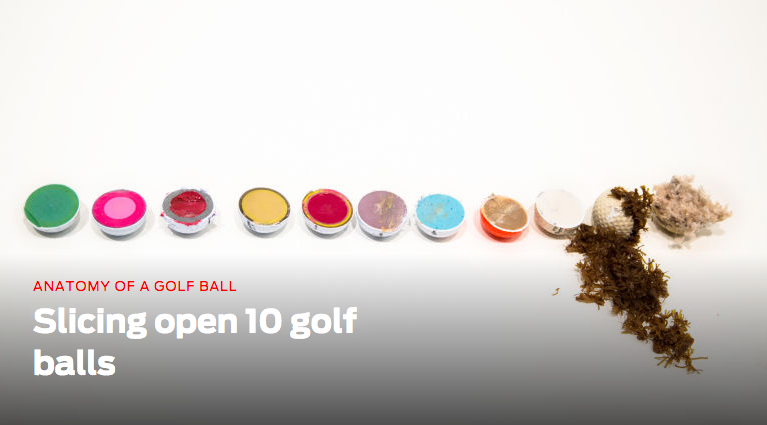 Golf Ball Anatomy