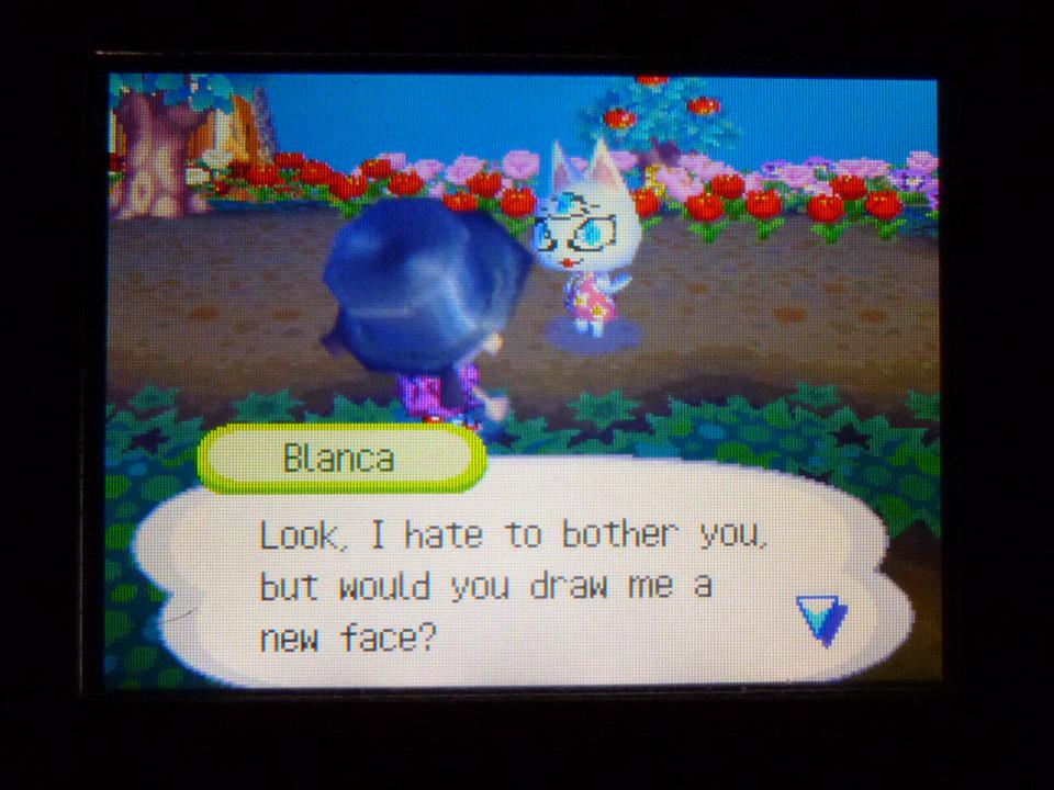 Animal Crossing New Leaf Makeup Guide