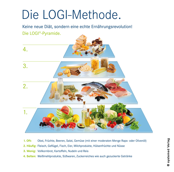 LOGI PYRAMIDE PDF