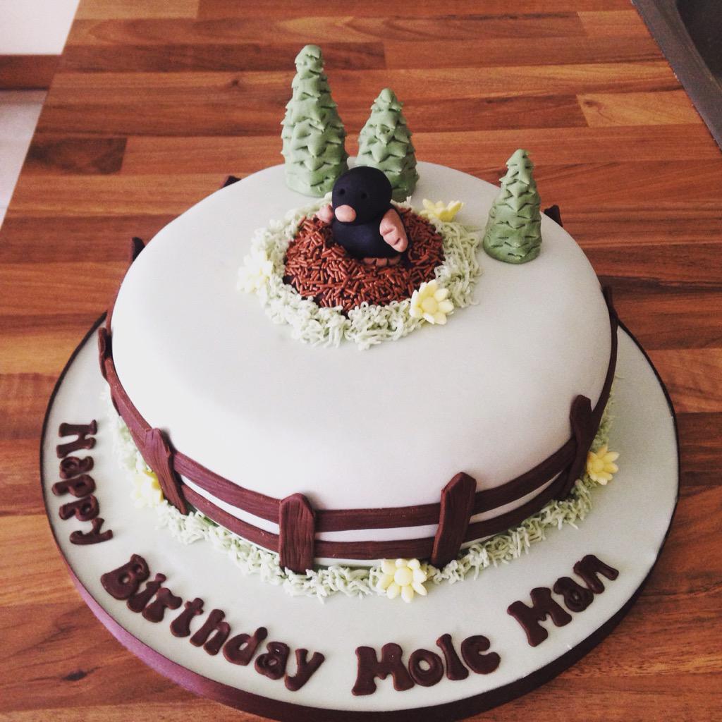 How To Make A Mole Cake