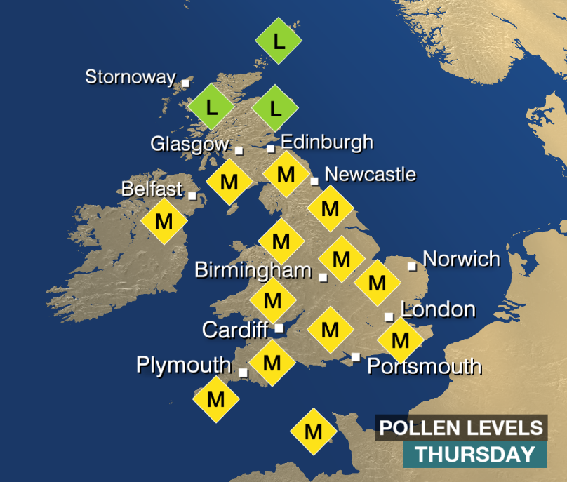 Today's pollen forecast: | BBC Weather | Scoopnest