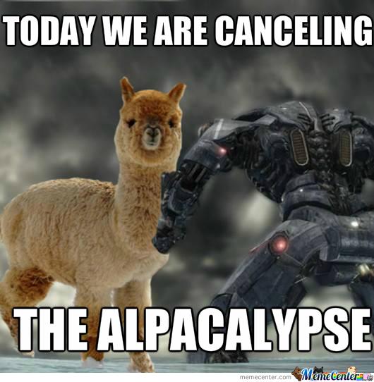 Alpacalypse Meme