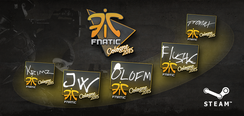 Fnatic Steam Logo Fnatic And FUT Esports Secure Spots In The VCT 2024: