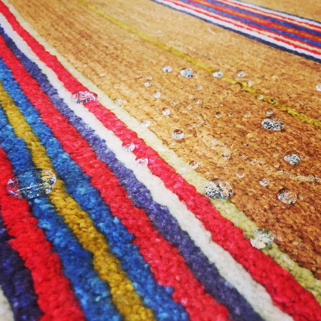 Ramtin Nikbakht (@RamtinNikbakht) | Twitter