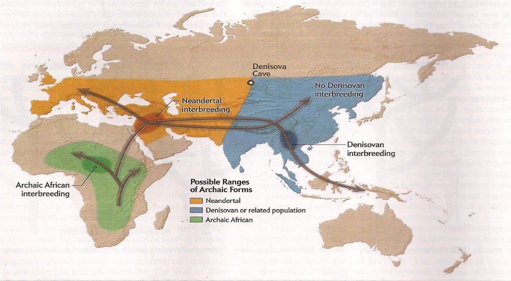 Modern Human Interbreeding