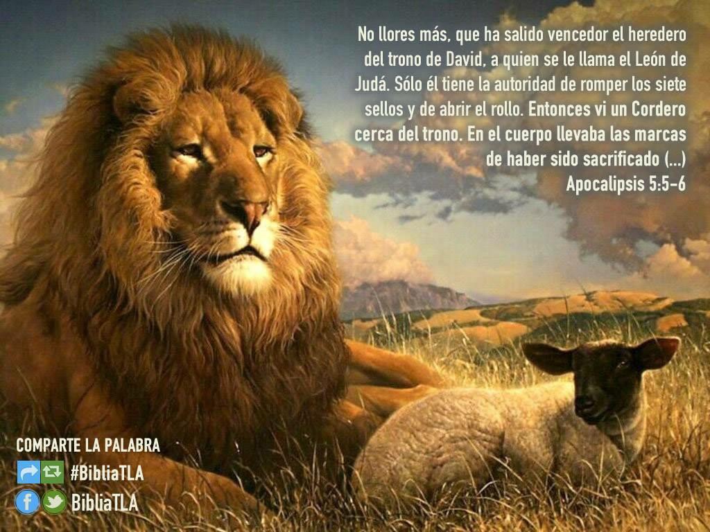 adolescentes Campo de minas Fracaso el rollo y el cordero nombre de la ...