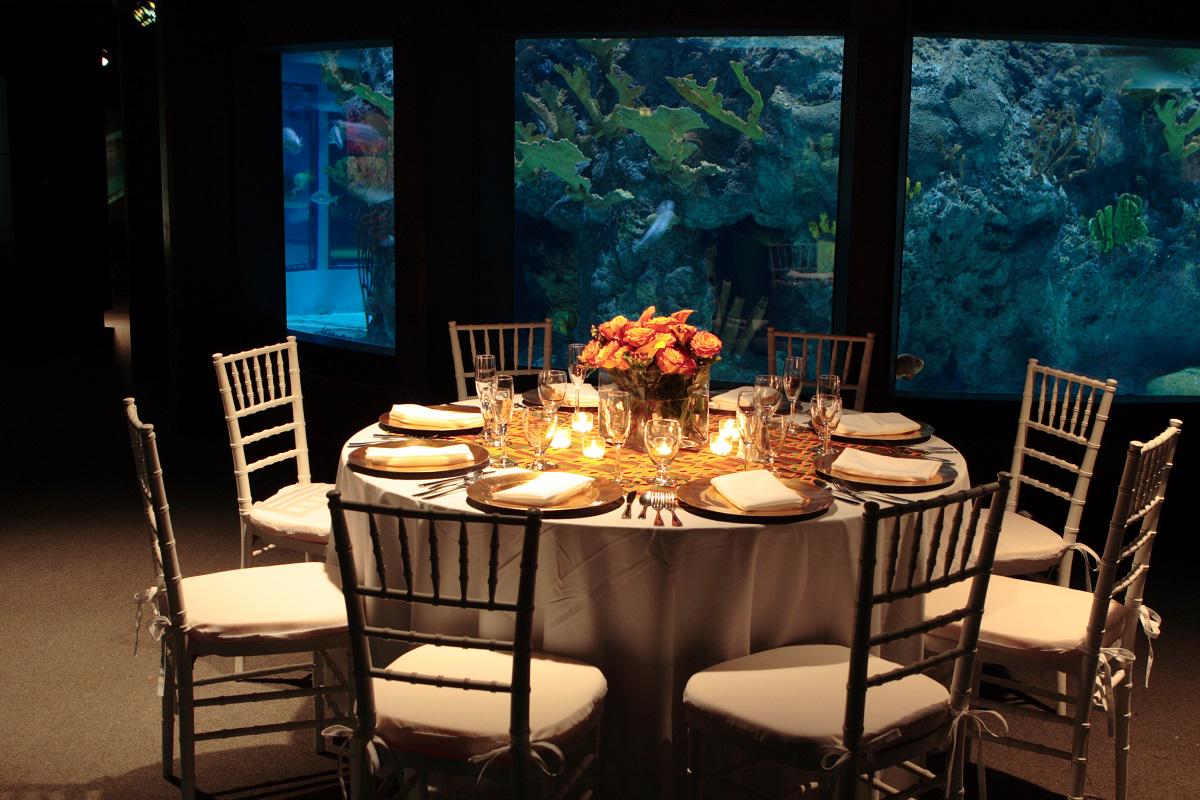 Mystic Aquarium Wedding Mystic Yachting Club At Willow Point