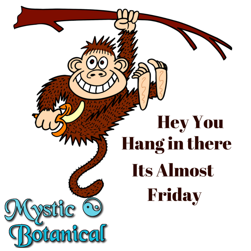 Its Almost Friday Quotes