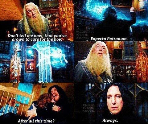 Snape Lily Memes Ok, I Like Snape But This Kinda Changed My Opinion