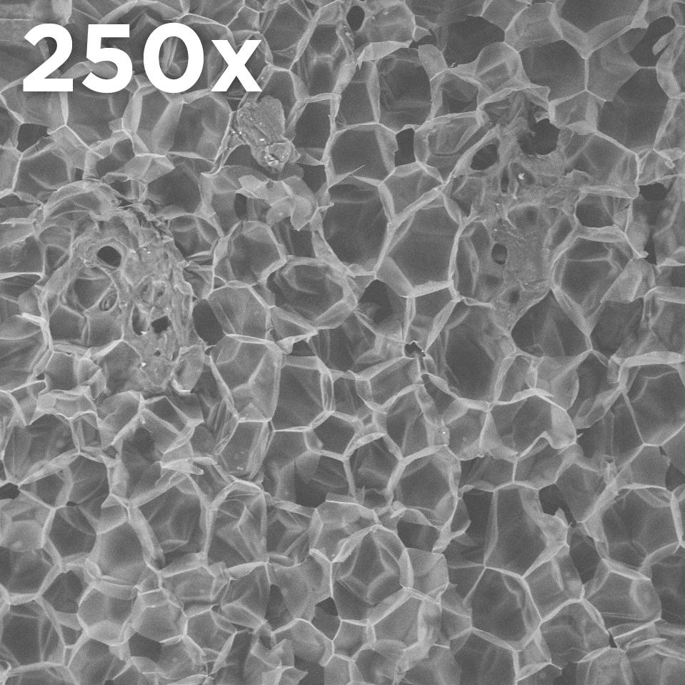 Popcorn was the first domesticated corn. here's a popped kernel under a ...