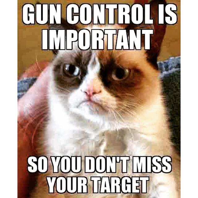 Funny Pictures Of Cats With Captions And Guns