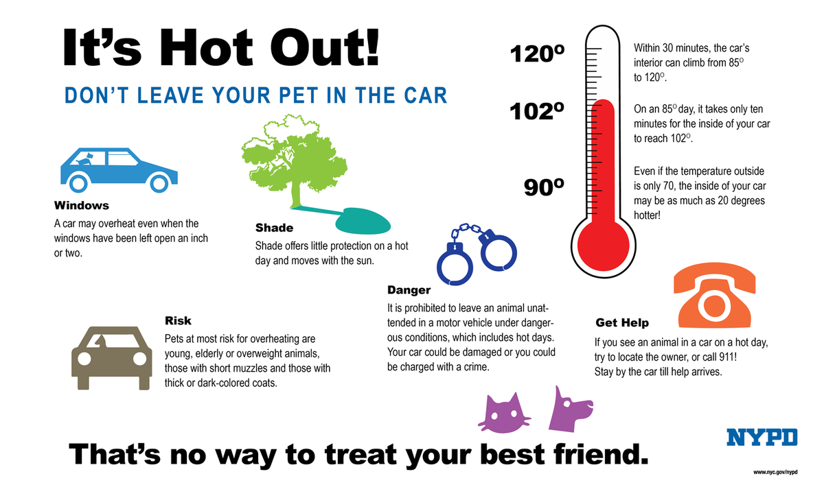 BeatTheHeat: Important safety tips during hot weather in NYC | NYPD ...