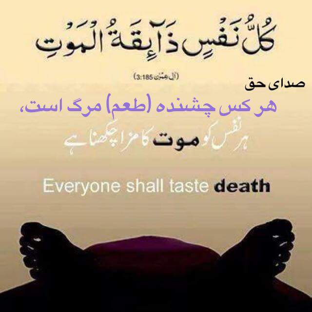 Bashir nikzad (@BashirNikzad) | Twitter