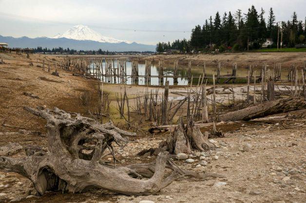 Draining: Photos: Draining a Lake Near Seattle Reveals an Eerie Hidden ...