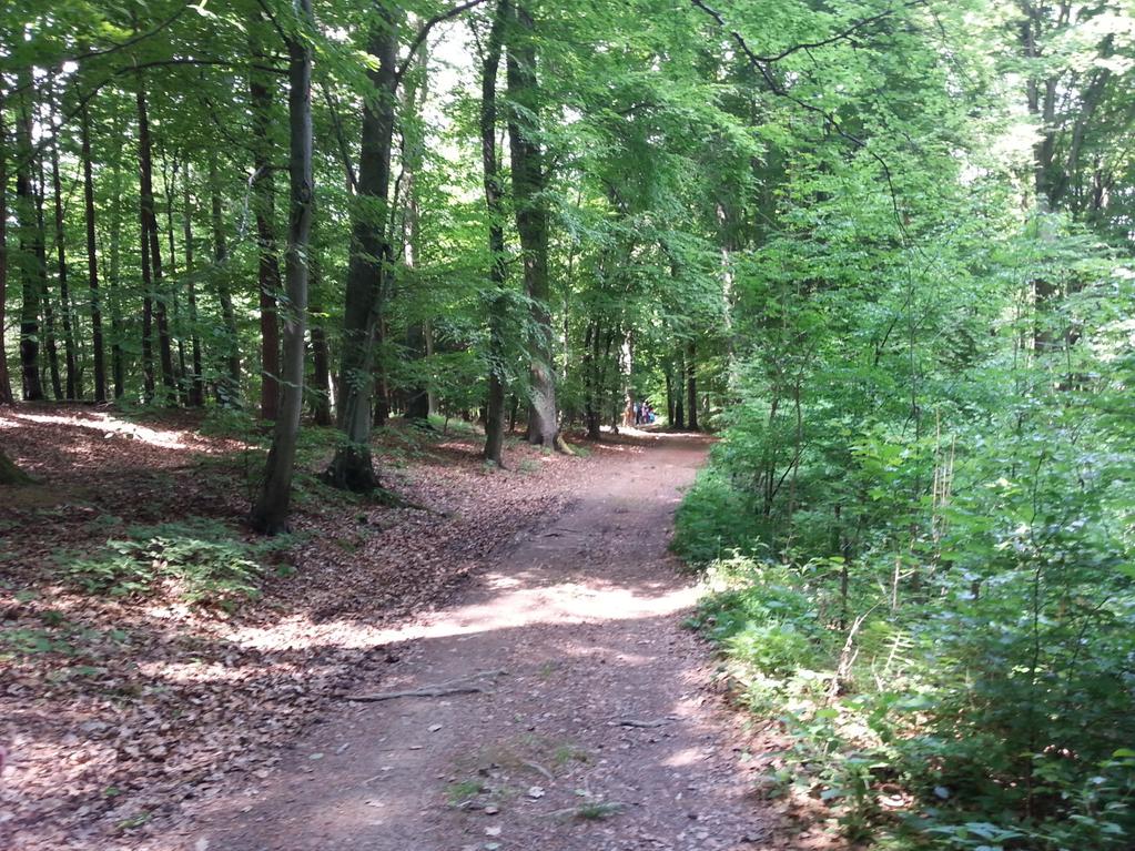 New Implementation Of Neural Algorithm Of Artistic Style Torch Vgg17 Net Rmachinelearning