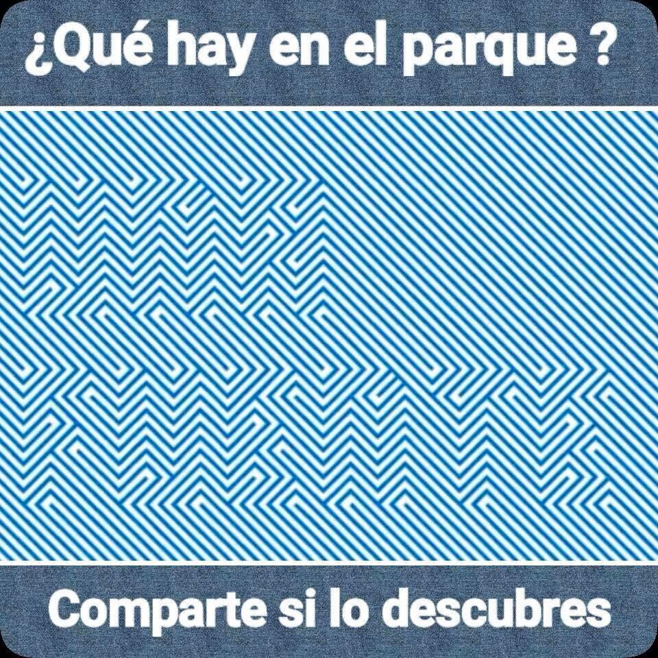 Mara Basualdo (@marabasualdo) | Twitter