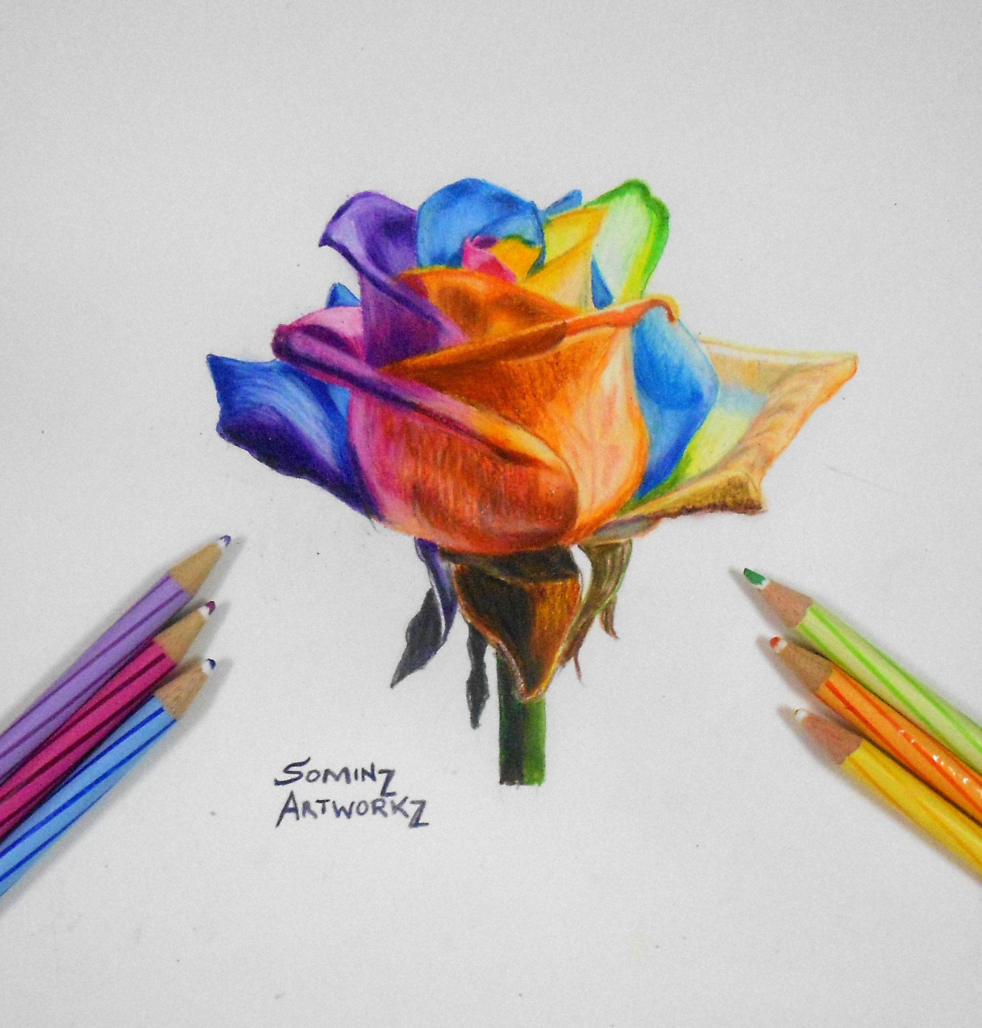 Rainbow Rose Drawing