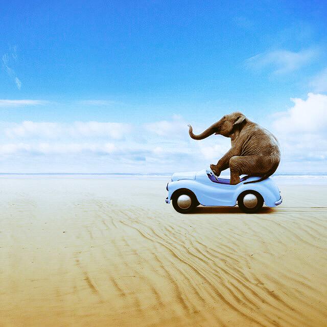 Luyao Liu (@FloatRoadRemote) | Twitter