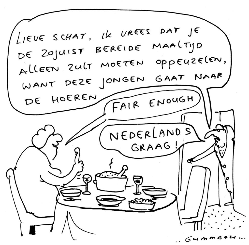De cartoon van Gummbah van vandaag (hier staan ze allemaal: ) | de ...