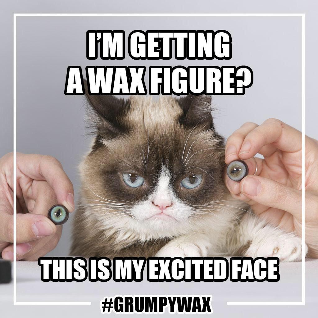 Clean Grumpy Cat Meme