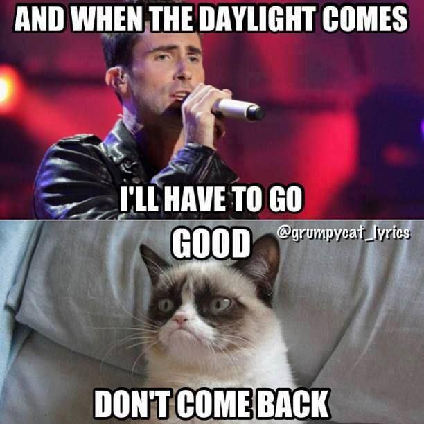 Funny Grumpy Cat Song Memes