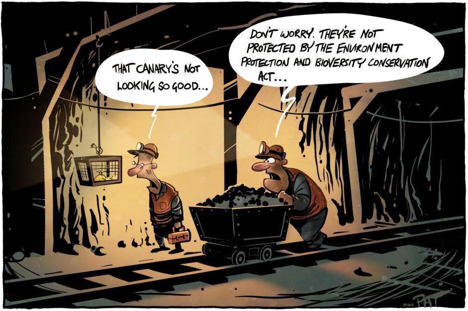 Canary In A Coal Mine Cartoon