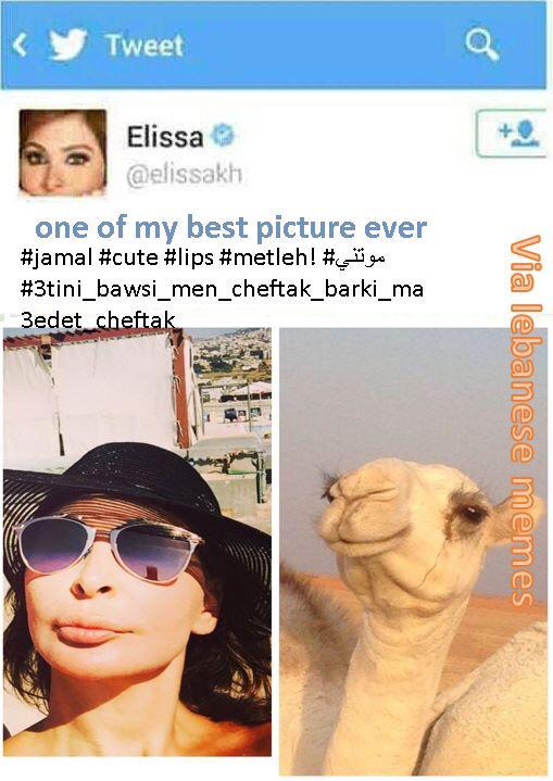 Elissa Memes