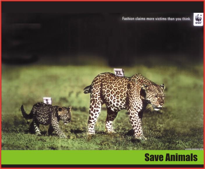 Institutional Advertising Fashion