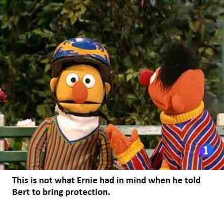 Sesame Street Bert Meme