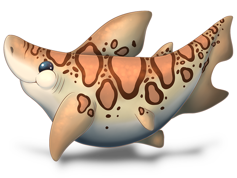 Leopard Shark Drawing