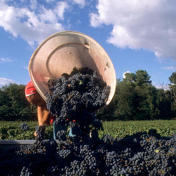 Ogma Training (@ogma_ts) | Twitter