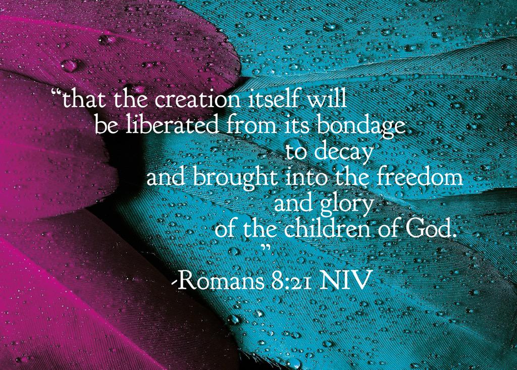 Romans 8 21