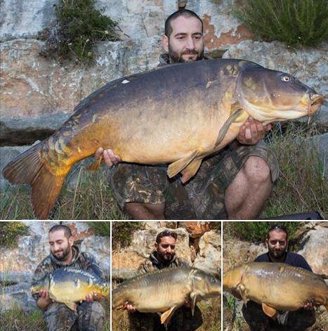 Alexandre Mollo (@AC_CARPEBAITS) | Twitter