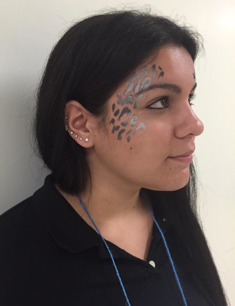 School Spirit Face Paint Designs