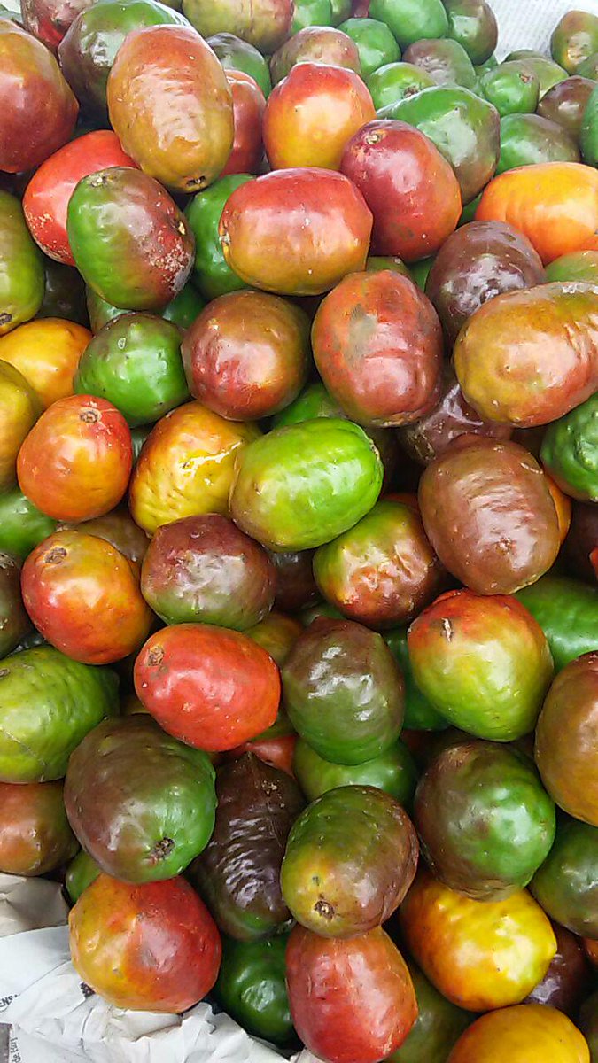 Jocote : Últimas noticias y actualidad en vivo - Scoopnest